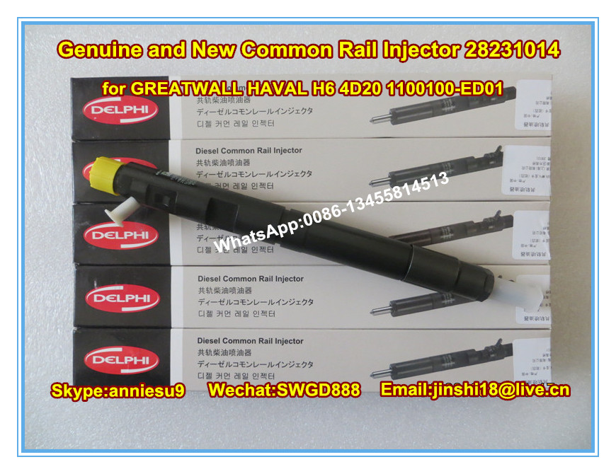 Delphi Genuine and New Common Rail Injector 28231014 for GREATWALL ...